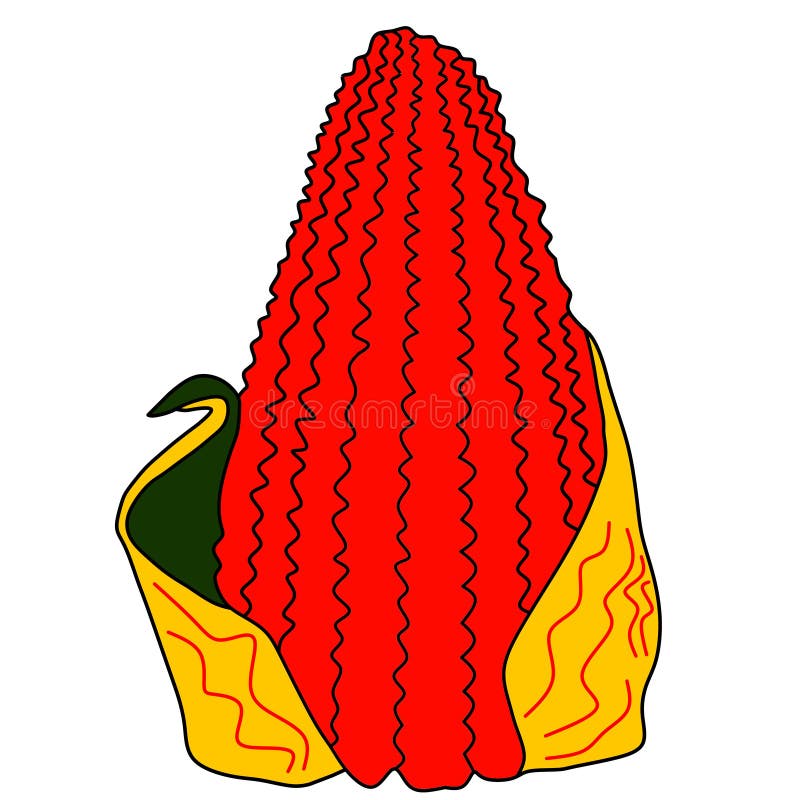 Abstract Illustration of Corn,design Corn Stock Illustration ...