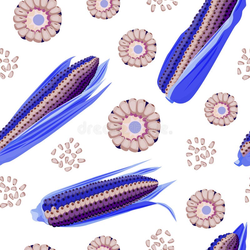 Abstract Illustration of Corn in Section and Its Kernels with Bright ...