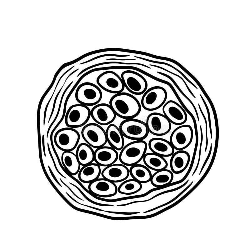 An Abstract Illustration Depicting a Cell and Its Nucleus Featuring ...