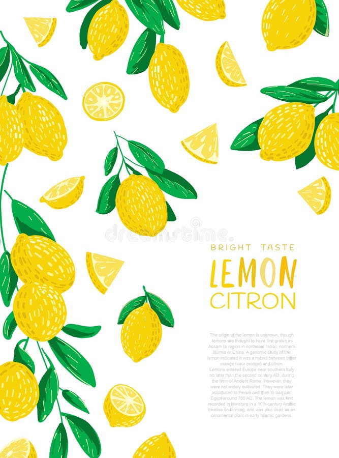 Abstract Illustration of Lemon. Stock Vector - Illustration of element ...
