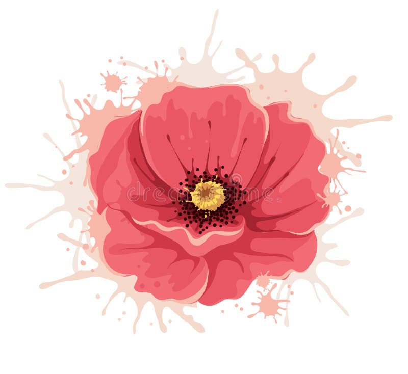 Flower Illustration Outline Poppy Stock Illustrations – 6,221 Flower ...