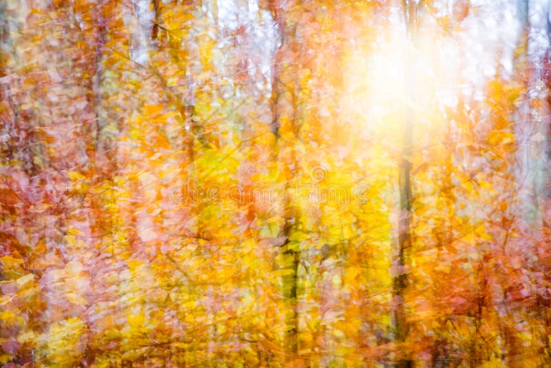 Abstract Image of Autumn Forest. Stock Photo - Image of multi, artistic ...