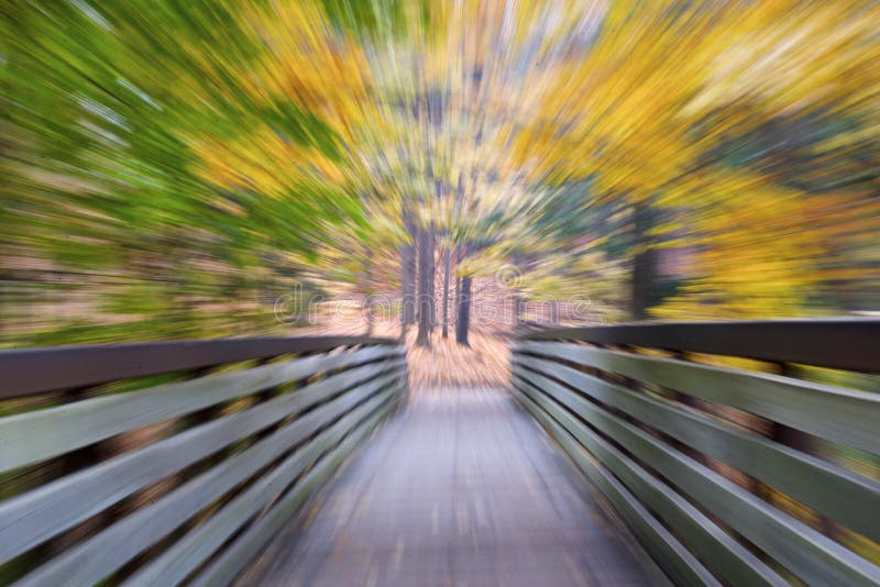 Abstract Image of Autumn Landscape Background with a Zoom Movement ...