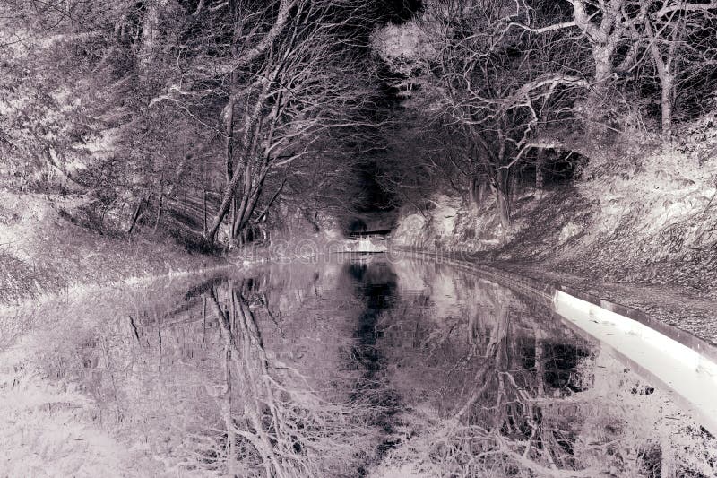 Abstract Image of a Canal with Trees Reflecting in the Water. Negative ...