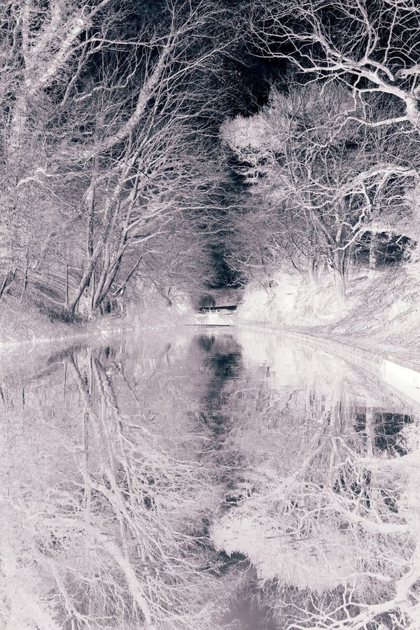 Abstract Image of a Canal with Trees Reflecting in the Water. Negative ...