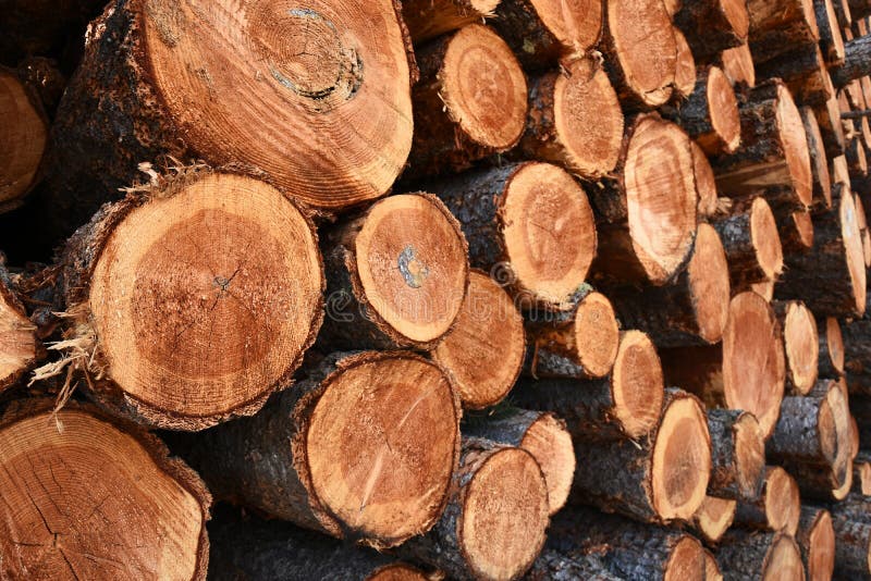 Logging Industry Abstract stock image. Image of pine - 147999085