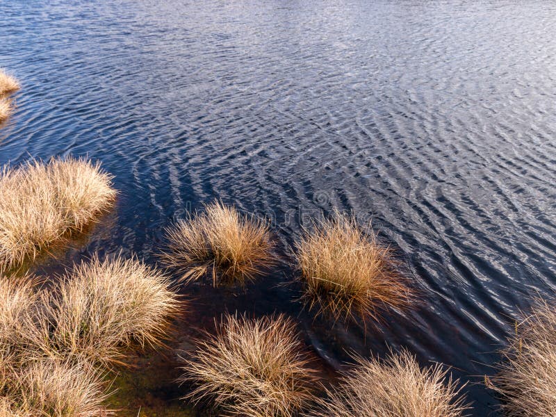 Water Texture Fotos de stock - Fotos libres de regalías de Dreamstime