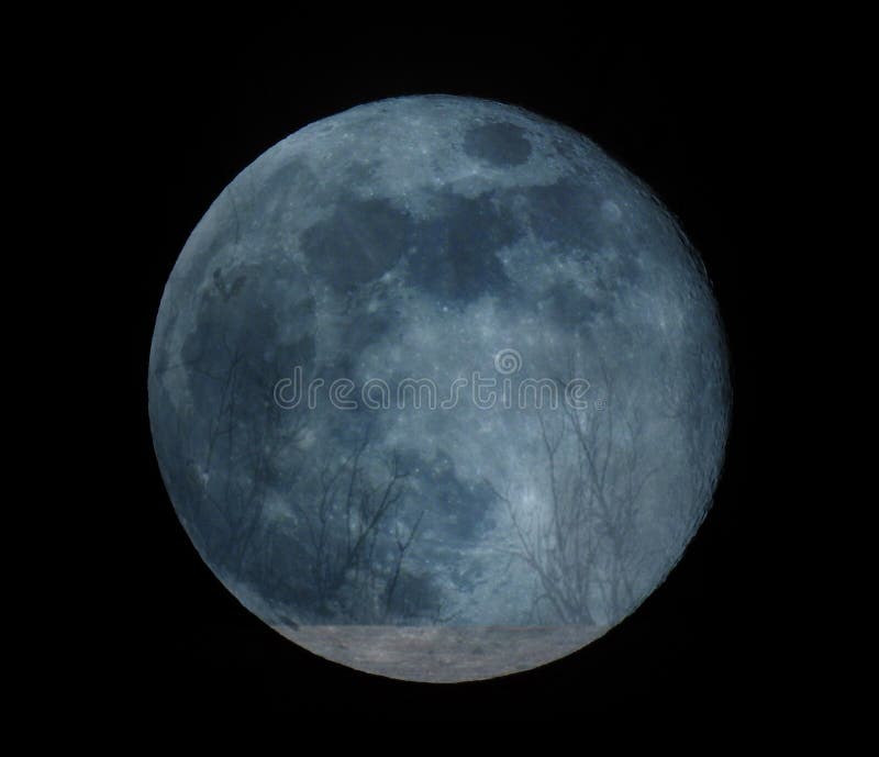 Full Moon with Forest Overlay Stock Photo - Image of science, overlay ...