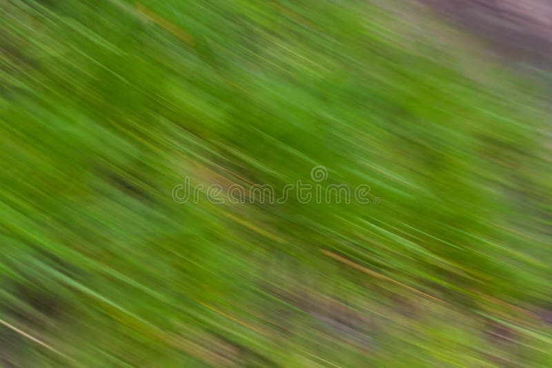Abstract Image of Green Grass. Demonstration of Camera Movement during ...