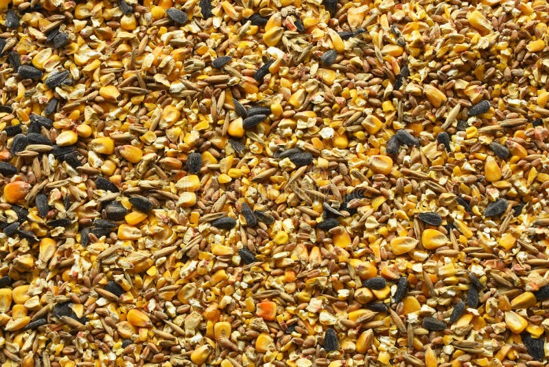 Mixed Bird Seed Abstract stock photo. Image of oilseed - 227441682