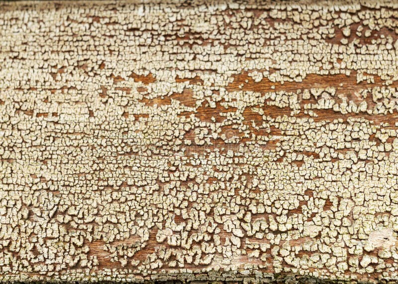 Abstract Image with Old Color Texture on Old Wooden Board Wall ...