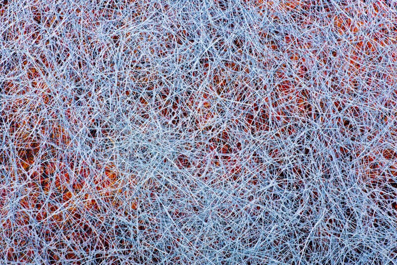Plurality of Intertwined Threads Stock Image - Image of texture, color ...