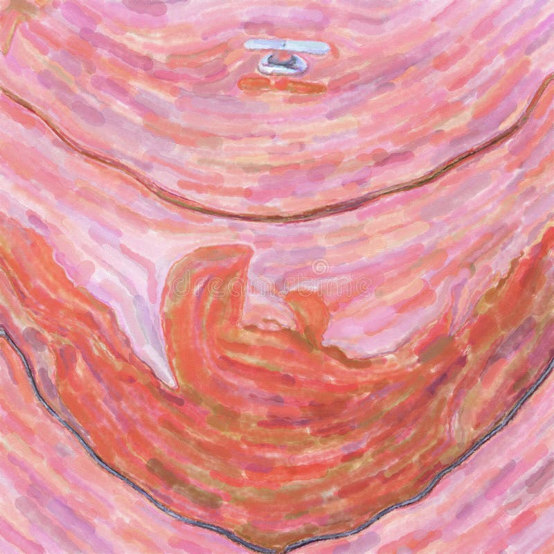 Abstract Image of the Red Rounded End of an Unidentifiable Car Stock ...