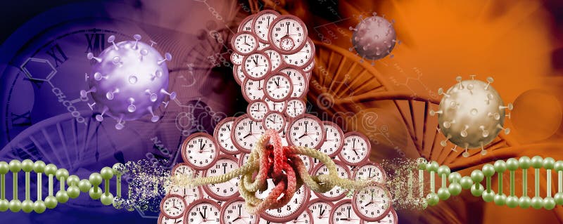 Biological time stock image. Image of nature, biological - 13157893