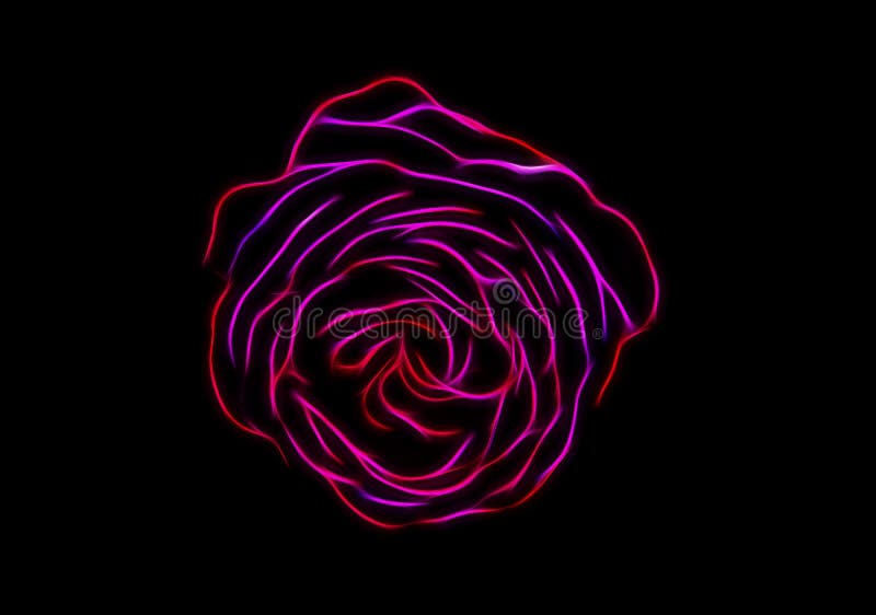 Abstract Image of a Rose in the Form of Glowing Neon Lines. Stock ...