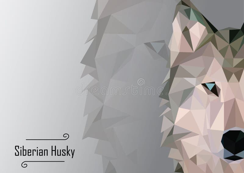 Husky Dog. Abstract Geometric Animal. Stock Vector - Illustration of ...