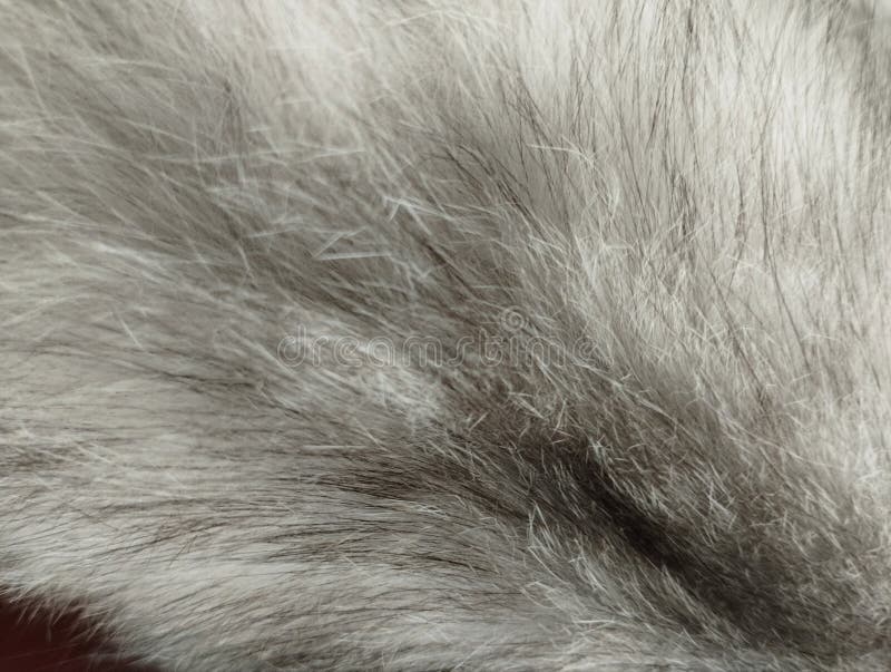 Abstract Image of Soft Grey Strands Under Diffused Light. Ideal for ...