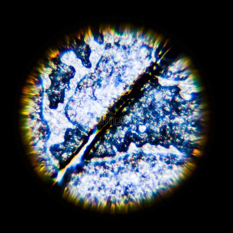 Abstract Images of Vegetable Cells Under a Microscope Stock Photo ...