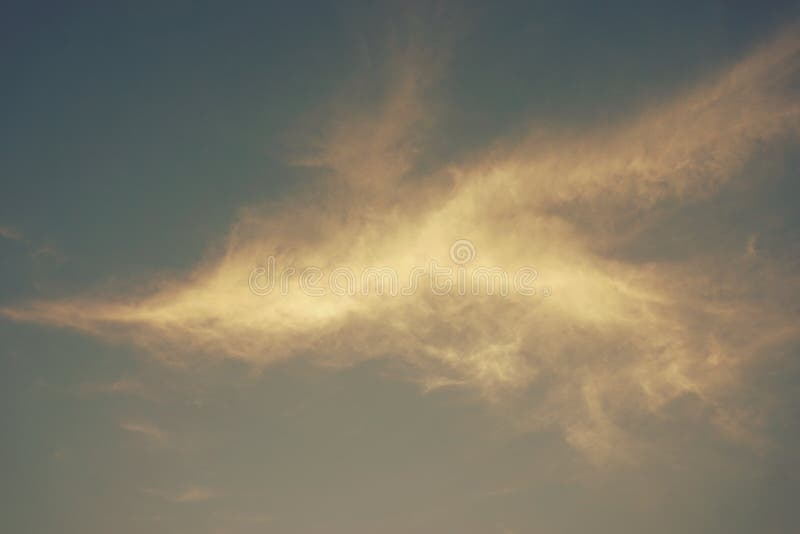 Cloud in bird shape stock photo. Image of bird, clouds - 100165916