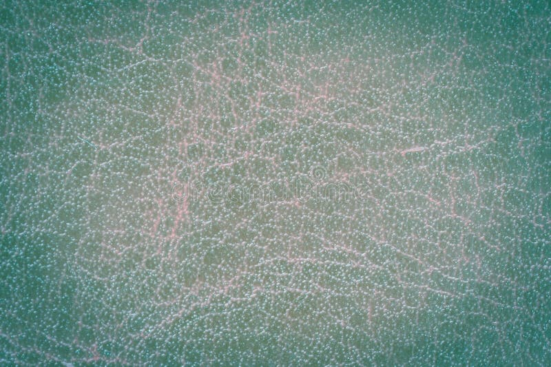 Abstract Indigo Blue Leather Closeup Texture Background. Stock Image ...