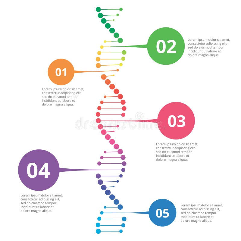 Infographic Timeline Template with Six Options. Vector Stock Vector ...