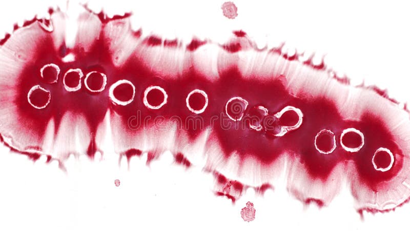 Abstract Ink Drops Spread on Wet Paper Stock Video - Video of splash ...