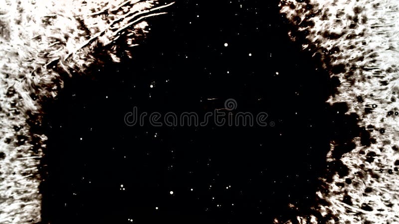 Abstract Ink Splatter Transition in Black and White Seamless Loop Stock ...