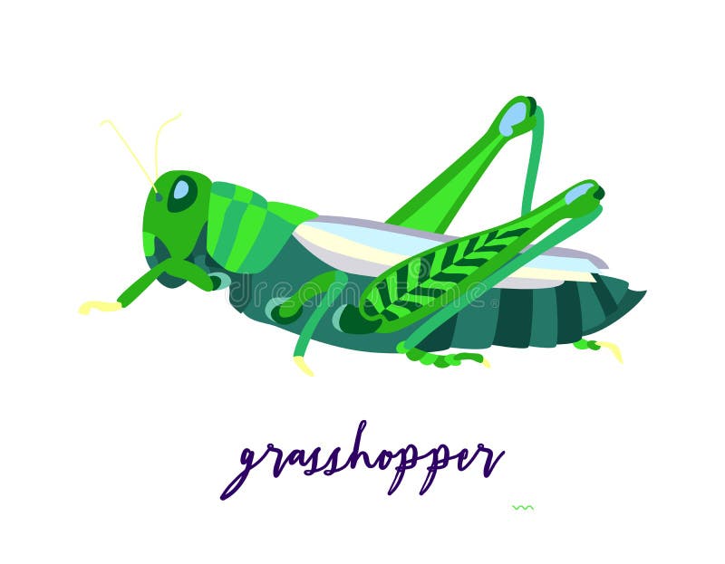 Abstract Grasshopper Stock Illustrations – 790 Abstract Grasshopper ...