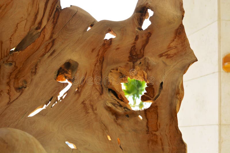 Abstract Installation of a Huge Brown Tree Root Stock Image - Image of ...