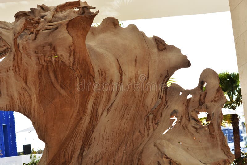 Abstract Installation of a Huge Brown Tree Root Stock Photo - Image of ...