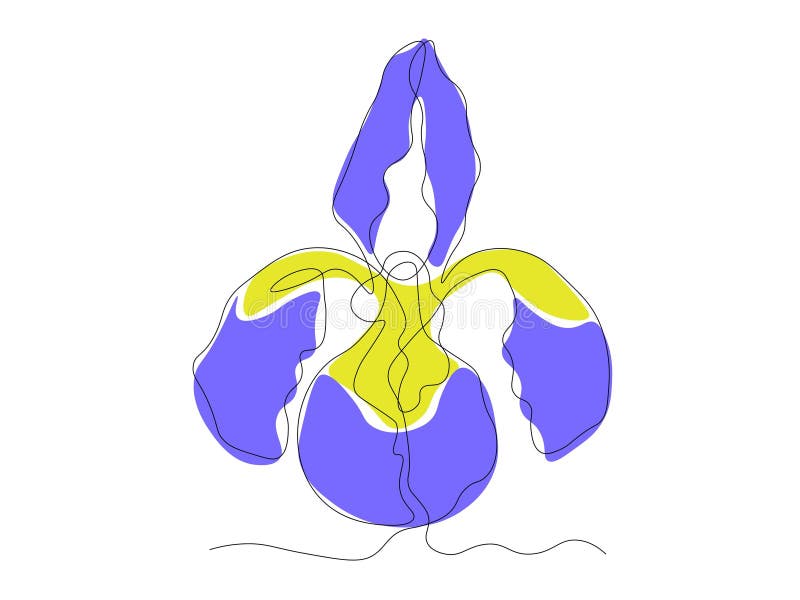 Iris Line Drawing Stock Illustrations – 2,557 Iris Line Drawing Stock ...