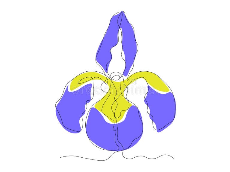 Iris Line Drawing Stock Illustrations – 2,557 Iris Line Drawing Stock ...