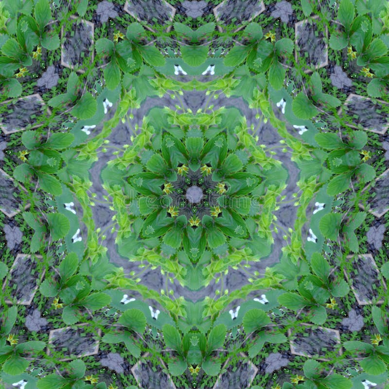 Abstract Kaleidoscope Background. Beautiful Multicolor Kaleidoscope ...