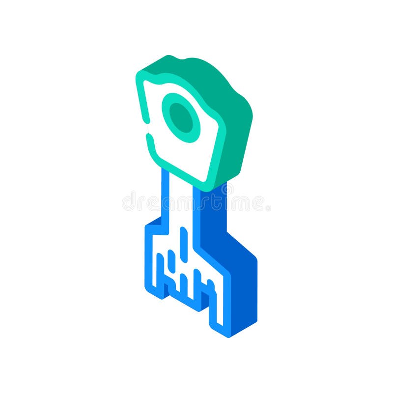 Abstract Key Isometric Icon Vector Illustration Stock Vector ...