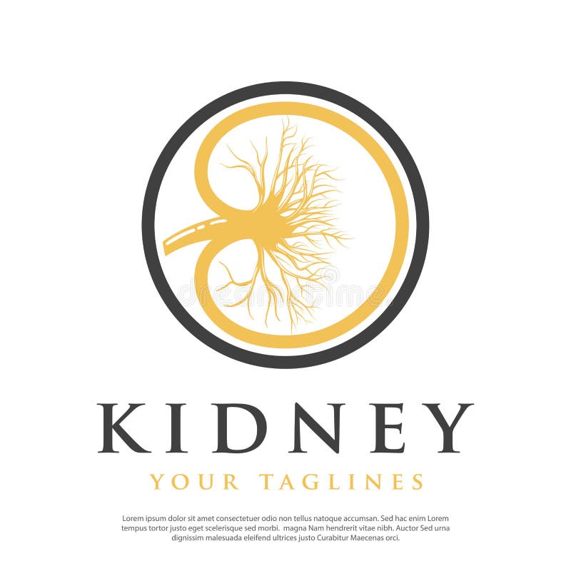 Abstract Kidney Shape Vector Logo Stock Vector - Illustration of ...