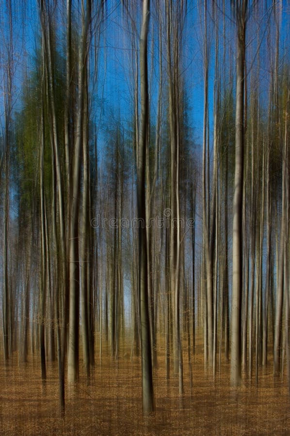 Abstract landscape. stock illustration. Illustration of backdrop - 28932266