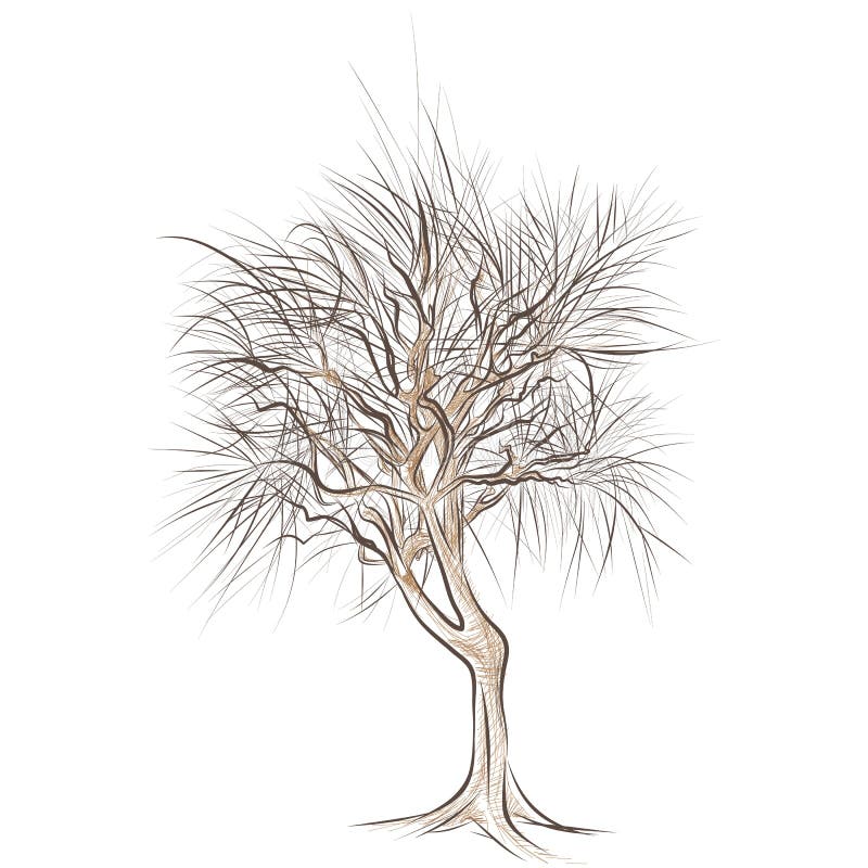 Large Bare Tree without Leaves - Hand Drawn Stock Vector - Illustration ... Large Bare Tree without Leaves - Hand Drawn Stock Vector - Illustration ...