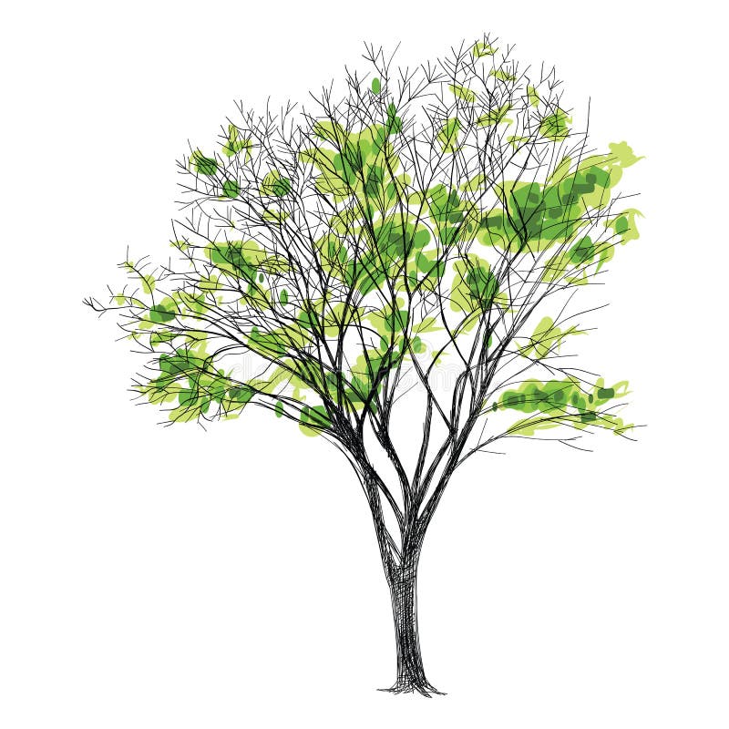 Large Bare Tree without Leaves (Sakura Tree) - Han Stock Vector ... Large Bare Tree without Leaves (Sakura Tree) - Han Stock Vector ...