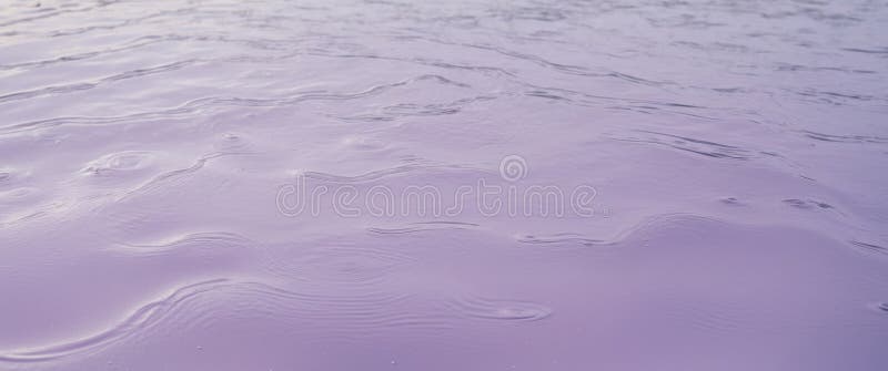 Abstract Lavender Water Surface Texture Background. Stock Image - Image ...