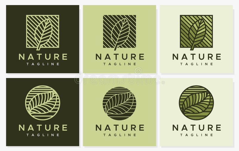 Abstract Leaf Line Logo Design Collection. Modern Leaf Logo Graphic Set ...