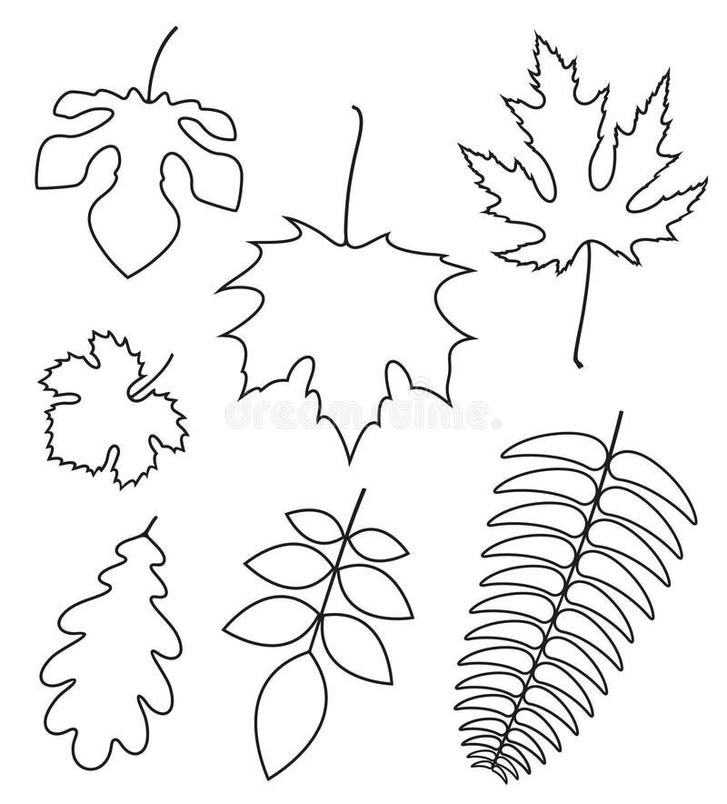 Abstract Leaf. Outline stock vector. Illustration of autumn - 79201720