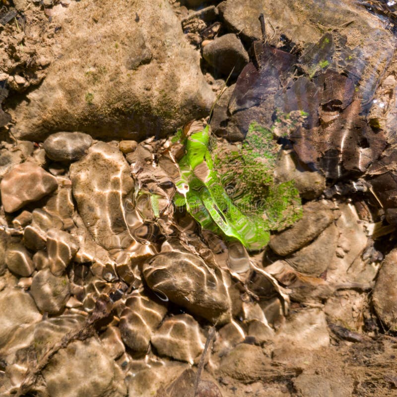 Abstract Leaf Shape at the Bottom of the Stream and Wavy Pattern on the ...