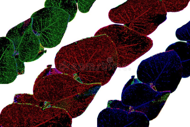 Abstract Leafy Patterns Picture. Image: 205533