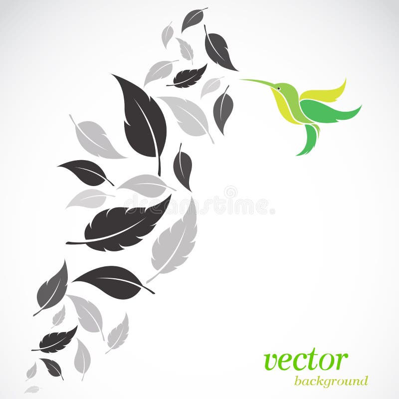Abstract Leaves and Hummingbirds Stock Vector - Illustration of leaf ...