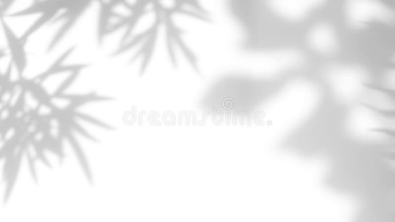 Abstract Leaves Natural Shadow Overlay on White Texture Background, for ...