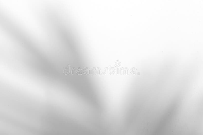 Abstract Leaves Natural Shadow Overlay on White Texture Background, for ...
