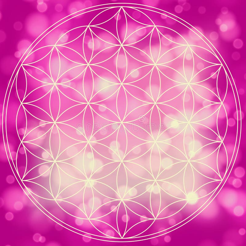 Circles of life stock illustration. Illustration of flower - 259117605