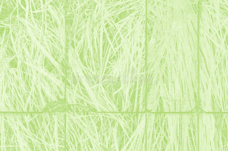 Abstract Light Green Background with Copy Space for Design Stock Image ...