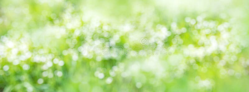 Abstract Light Green Background Stock Photo - Image of natural ...