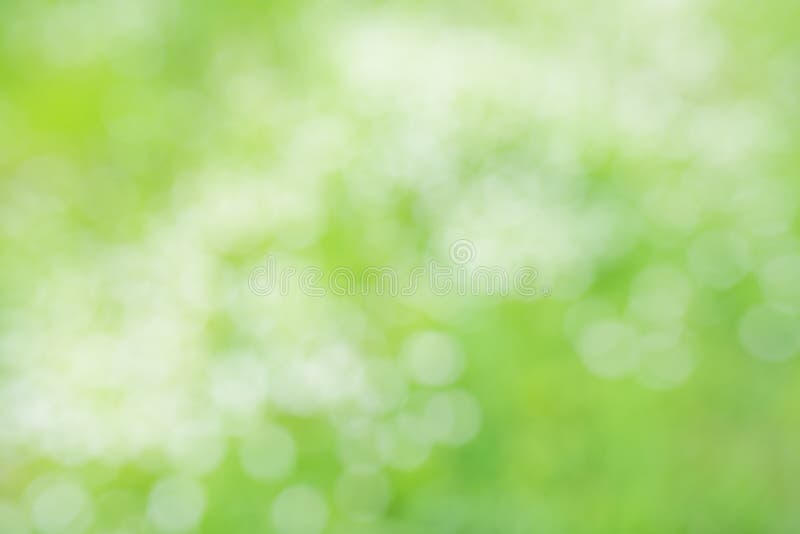 Abstract Light Green Background Stock Image - Image of fresh ...